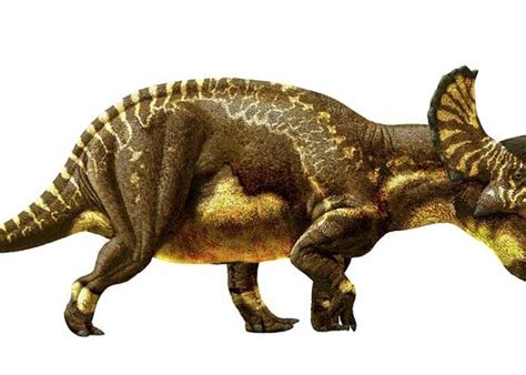 Triceratops Position The Triceratops Sex Youtube