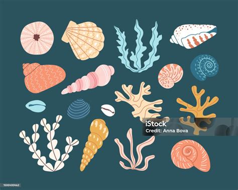 조개껍데기 산호 조류가 파란 배경에 있다 손으로 그린 다채로운 그림 벡터 해저 세트입니다 플랫 만화 스타일 여름 휴가 컬렉션 열대 해변 조개 가리비에 대한 스톡 벡터 아트