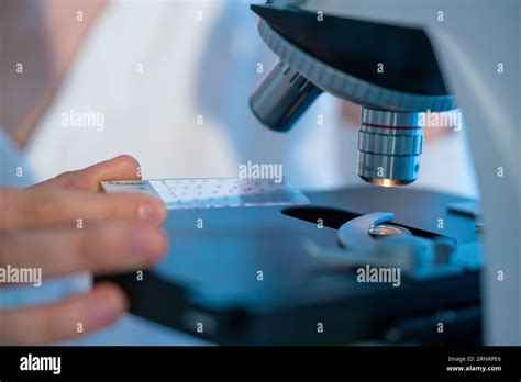 First To See Cells Using A Microscope At Magda Salas Blog