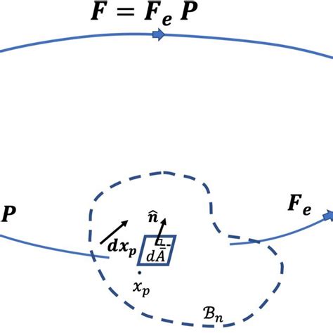 Multiplicative Decomposition Of The Deformation Download Scientific Diagram