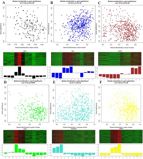 Visualization Of Gene Significance Gs Vs Module Membership Mm And Download Scientific
