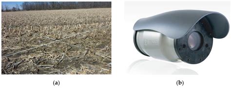 Remote Sensing Free Full Text Mapping Maize Tillage Practices Over