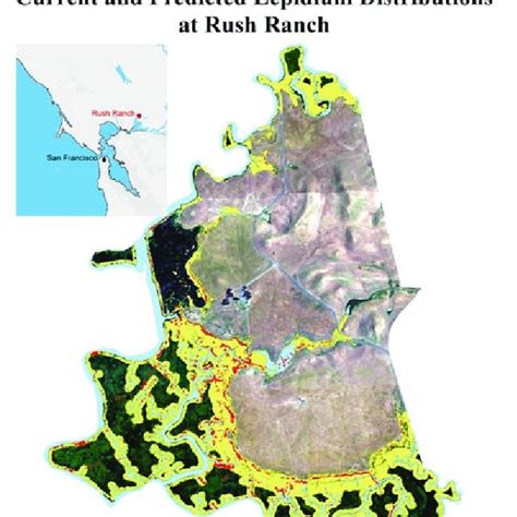 5 A Sample Vertical Cross Section Of The Lidar Returns On A Transect
