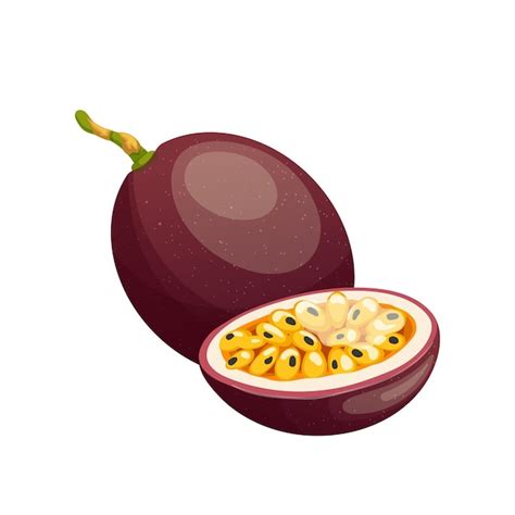 Premium Vector Passion Fruit Cut Cartoon Vector Illustration