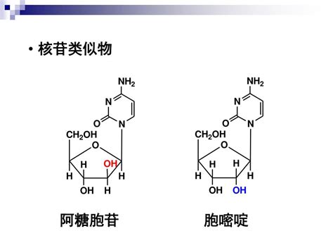 Ppt 第 八 章 Powerpoint Presentation Free Download Id 4742433
