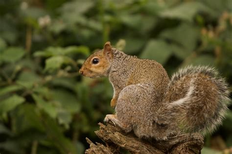 1a05b4b6 Cb1e 4877 9444 2e6c58997e1e1100o Jim Wakefield Flickr