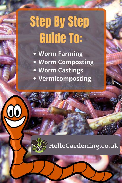 Learn How To Create A Worm Farm Worm Composting And Using Worm Castings Otherwise Known As