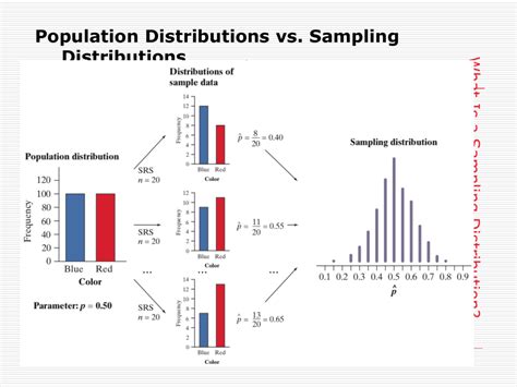 Sample Distribution Examples At Skye Milliner Blog