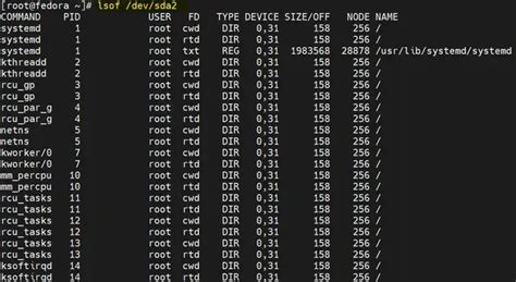 Linux 通过18个实例掌握 Lsof 命令 个人文章 Segmentfault 思否