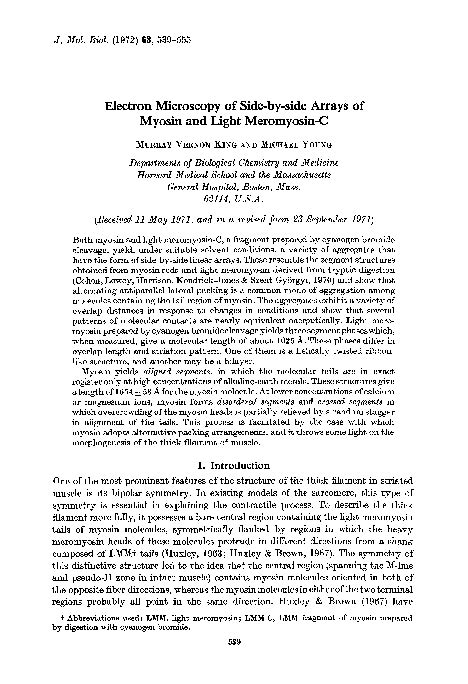 Pdf Electron Microscopy Of Side By Side Arrays Of Myosin And Light