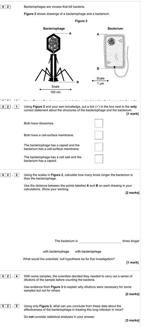 A Level Aqa Biology 21 Cell Structure Bacteriophages Are Viruses That