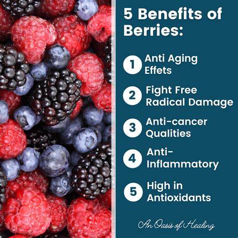 Antioxidant Rich Berry Smoothie An Oasis Of Healing