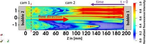 Horizontal Cut Of Pseudo 3d Visualization Of The Normalized Intensity