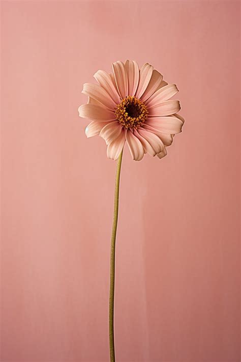 Squished Background Images Hd Pictures And Wallpaper For Free Download
