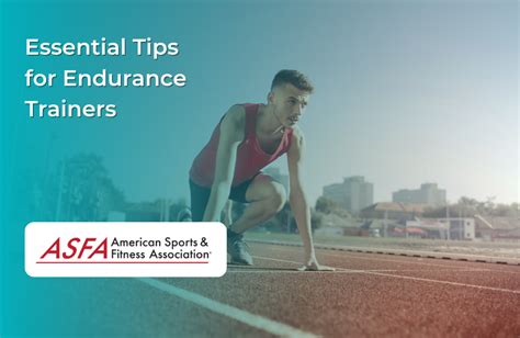 Endomorph Vs Ectomorph Vs Mesomorph