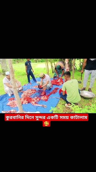 করবানির দিনে সুন্দর সময়🥰 Shortsvedio Qurbanistatus Youtube