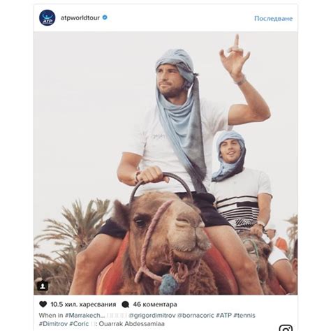 Григор се качи на камила