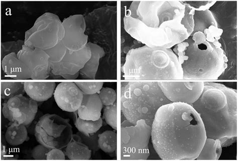 Microorganism Templated Nanoarchitectonics Of Hollow Tio2 Sio2
