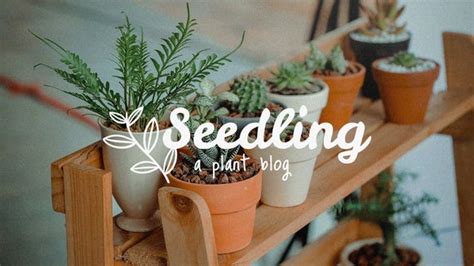 How To Design Blog Post Headers That Attract Readers Learn Befunky