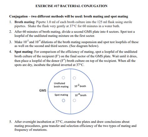 3 You Perform A Conjugation Experiment As Described Chegg Com