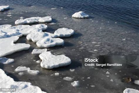 얼음과 눈으로 덮여 겨울에 바다 해안 바닷물에 떠있는 둥근 얼음 Floes 0명에 대한 스톡 사진 및 기타 이미지 0명 12월 1월 Istock