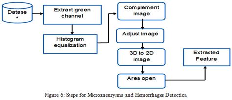 Diabetic Retinal Fundus Images Preprocessing And Feature Extraction For Early Detection Of