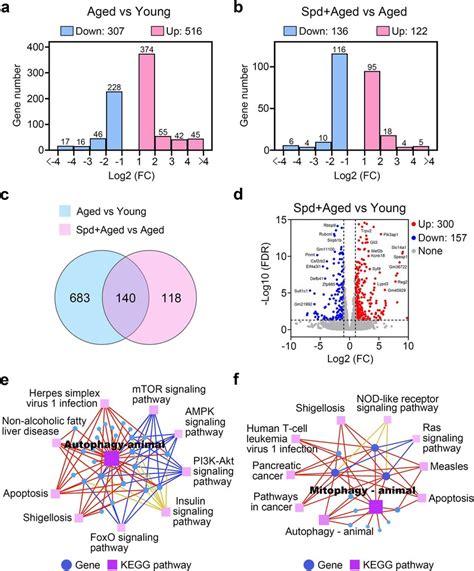 supplementary transcriptome data a the number of degs that were
