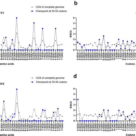 Rscu Values Of Each Codon In The Translational Checkpoint Of Denv1 4