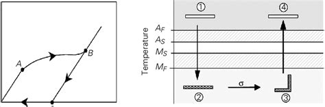 Shape Memory Effect For Abbreviations See Legend To Figure See Download Scientific Diagram