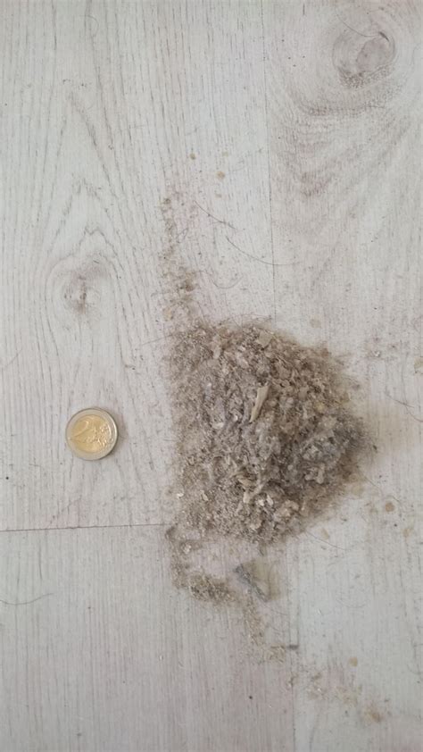 Guttate Psoriasis From Strep Timeline For How It Clears Up And Peoples Experiences R Psoriasis