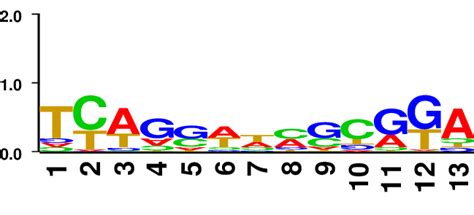 weak structured motif sequence logo of a structured motif with low