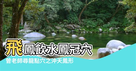 鳳形風水大地飛鳳飲水鳳冠穴 曾老師尋龍點穴之沖天鳳形 又點一鳳形風水寶地 NPF 風水知識網