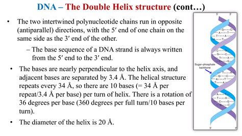 Biochemistry Lecture Notes Nucleic Acids Pdf