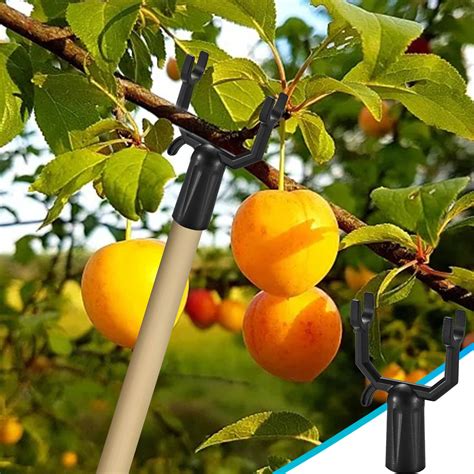 Yoloke Tree Branch Support Metal Crutch Kit Adjustable Tree Leaning Straightening Device