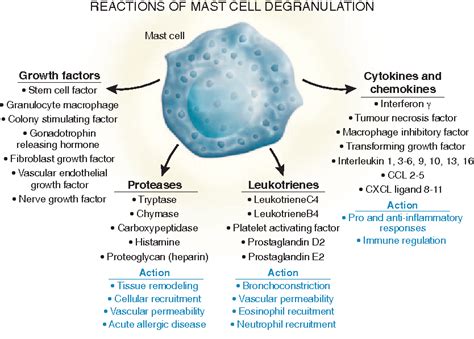 Chronic Sex Because Sexuality Doesnt Depend On Ability