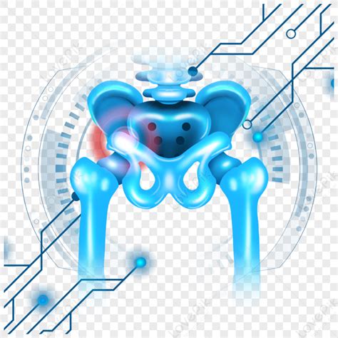Light Effect Body Joint Bone Structure Abstract Skeleton Png Picture And Clipart Image For Free