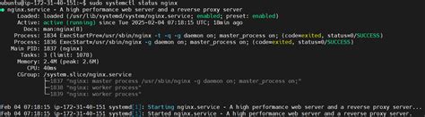 secure nginx with certbot and let s encrypt on ubuntu 24 04 lts