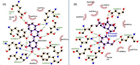 Use Of A Integrifolia As An Antihypertension Agent Aabc