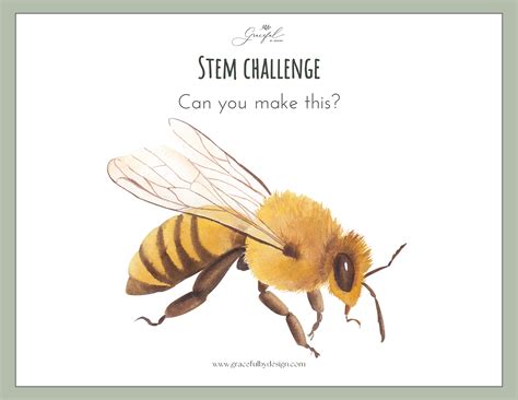 Printable Tiny Creature Activity Unit Grooved Learning