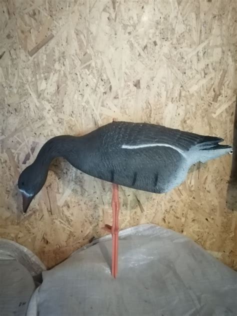 Продам чучела гуся белолобого Sport Plast Охотничьи товары купл