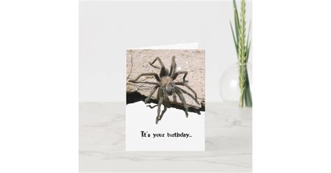 Tarantula Birthday Card Zazzle