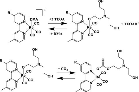 General Scheme Of Co2teoa Insertion In Re Ll Co 3x Complexes Download Scientific Diagram