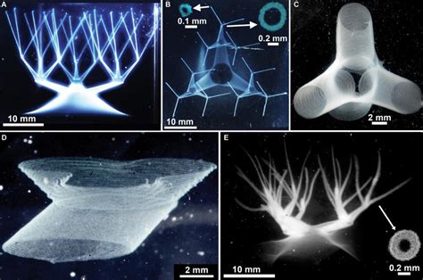 New 3d Printing Complex Microscopic Constructs Using Human Cells The Voice Of 3d