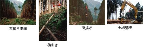 綿向生産森林組合・保育（択伐作業）