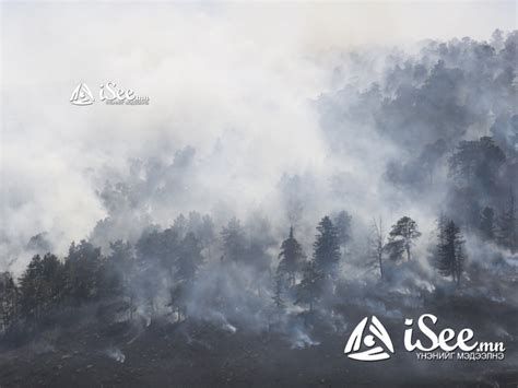Хэт халалтын улмаас Сүхбаатар Дорнод аймагт түймэр гарлаа Isee Mn