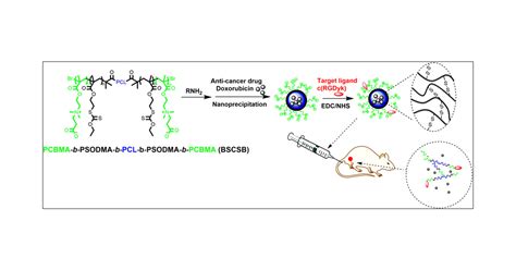 Development Of Long Circulating Zwitterionic Cross Linked Micelles For Active Targeted Drug