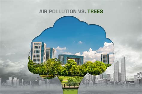 Air Pollution Vs Trees Plant 51 Trees