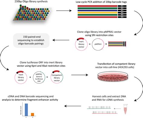 Identification Of 27 Allele Specific Regulatory Variants In Parkinsons Disease Using A