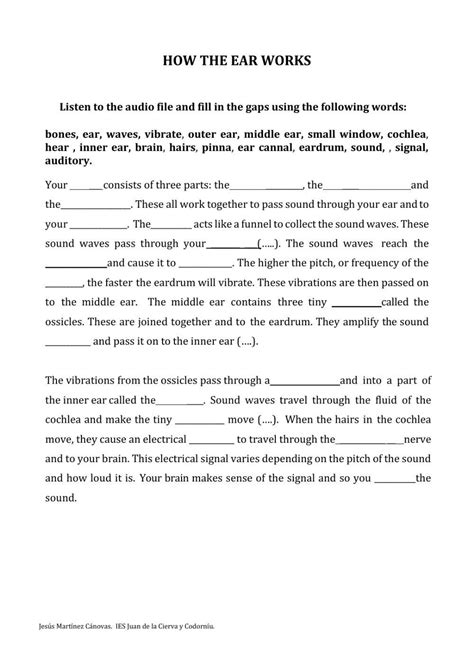 Auditory System Free Interactive Worksheets 5111724