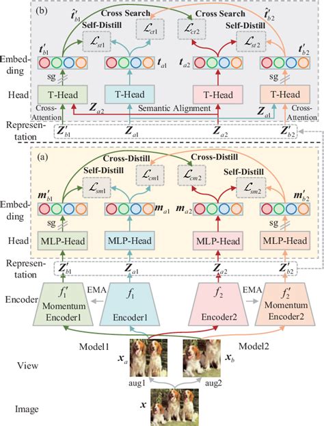 Multi Mode Online Knowledge Distillation For Self Supervised Visual
